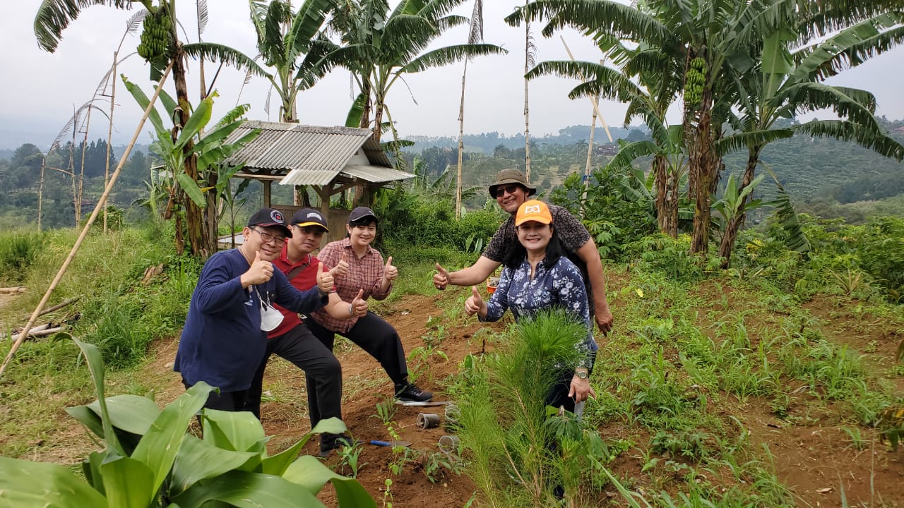 Atlantis Josay Menjalankan Hutan Tanam Industri di kaki Gunung Salak ...